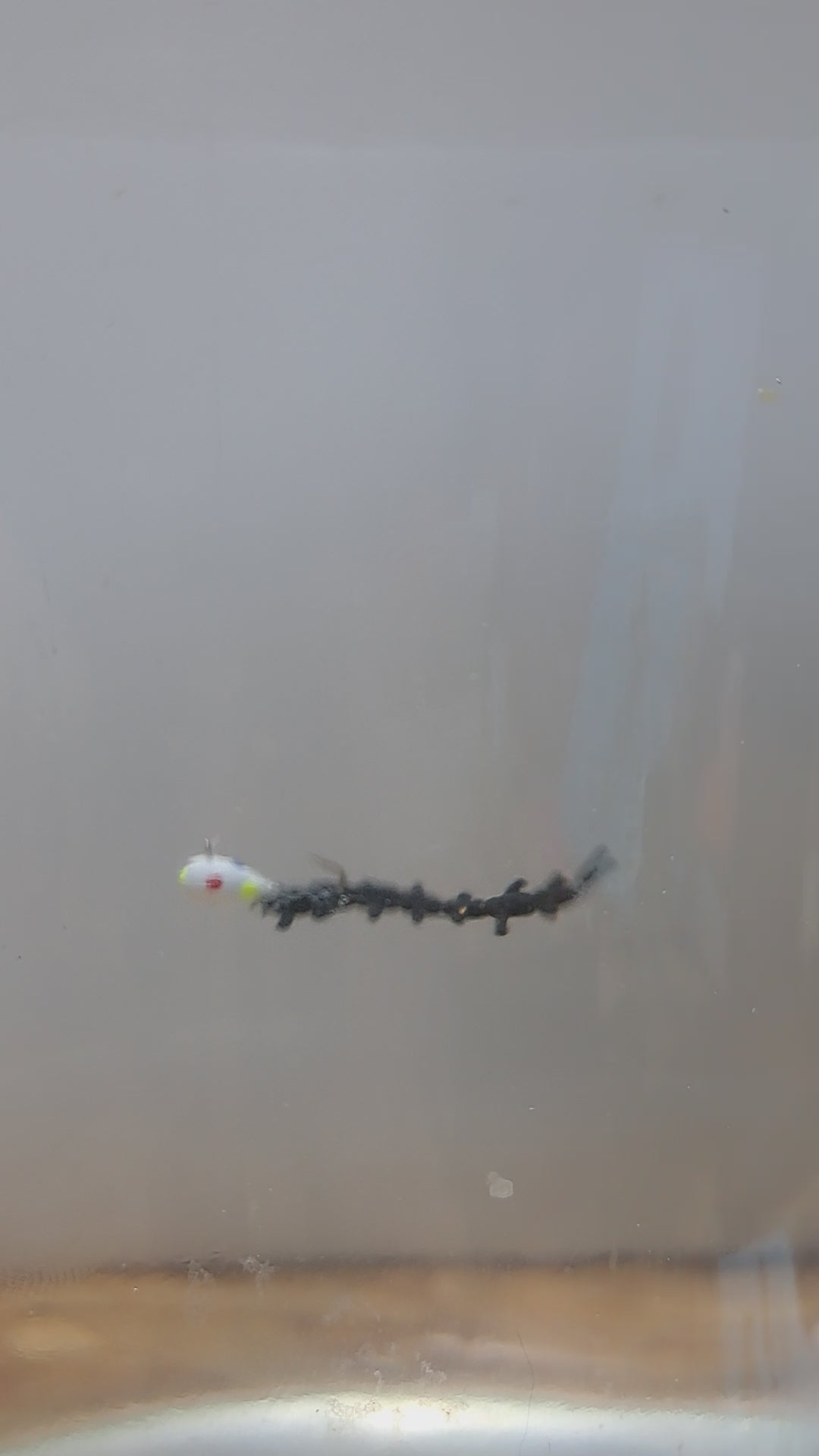 1" Ribbon Worm – Digger's Jig Tails